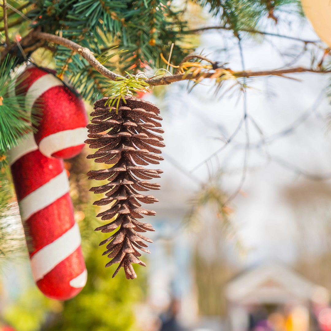 What to do with the little ones during the Christmas holidays?! – Pés ...